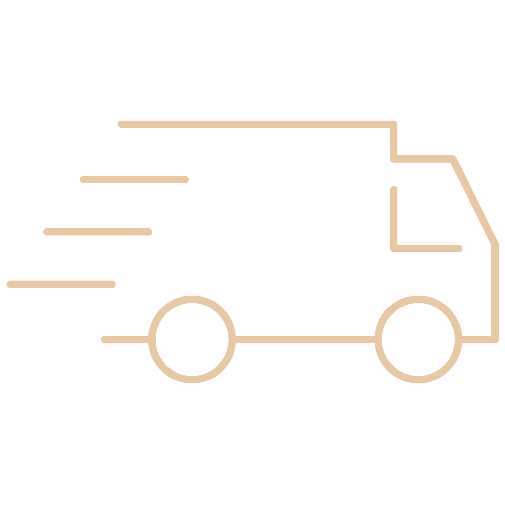 סנדלי ילדים צעד ראשון| צעד ראשון מעור | חנות לנעלי ילדים | מולי רמת השרון